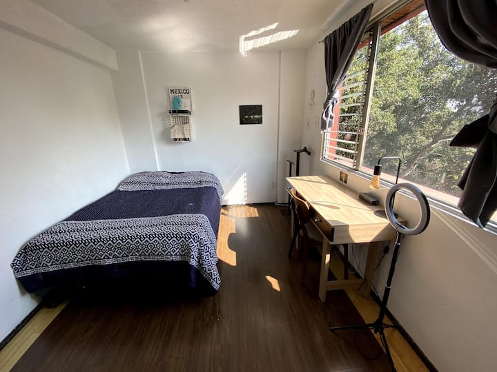 Estudio Cálido, Roma Norte - Mexico City