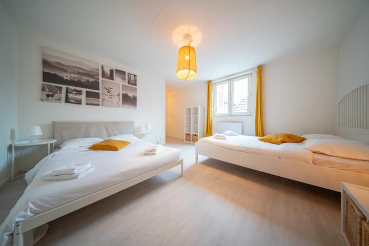 Très Bel Appartement - Centre-ville Mulhouse Le 42 - ミュルーズ