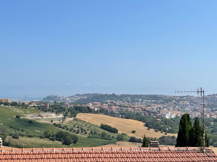 Appartamento Pinocchio - Ancona