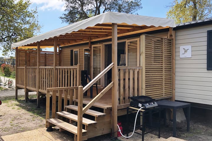 Evasion Surprise Sur Le Bassin - Lège-Cap-Ferret