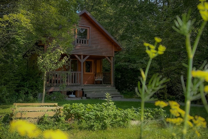 Urige Blockhütte Im Waldbad Isny - Isny im Allgäu