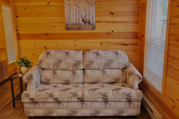 Deluxe Cabin #1 - Ionia State Recreation Area, Saranac