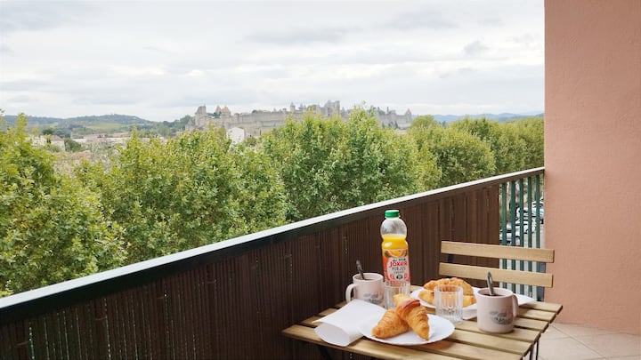 Vue Exceptionnelle - Carcassonne