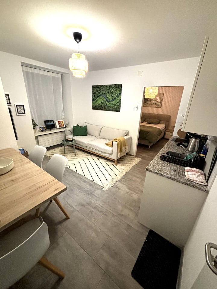 Top Wohnung Im Herzen Von Zürich - Zúrich, Suiza