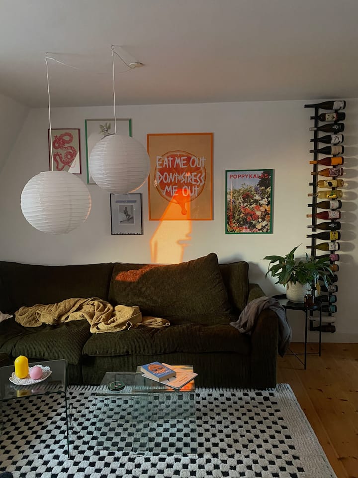 Solrig Lejlighed Nørrebro/søerne - Kopenhagen