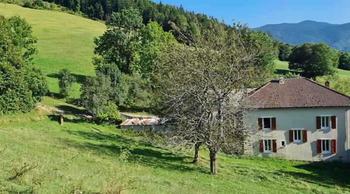 Gîte De La Berthuinière - Pont-en-Royans