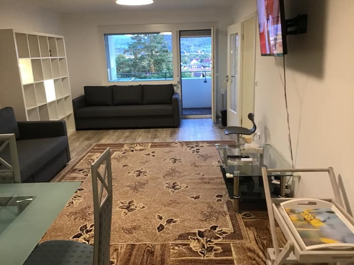 Große Wohnung In Freiburg - Freiburg
