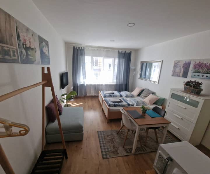 Prague City Centre Apartment - Prague