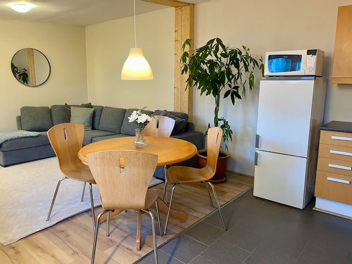 Cozy Little Home In Reykjavík - Reykjavík