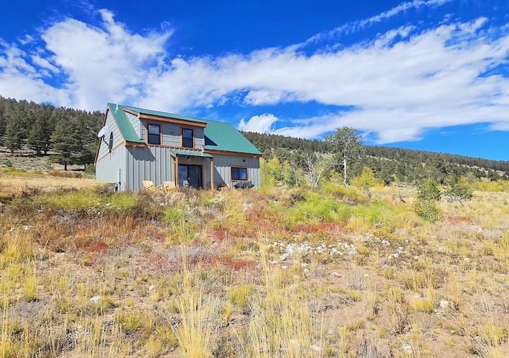 New! Pet Friendly, Fairplay Cabin Escape - Fairplay, CO