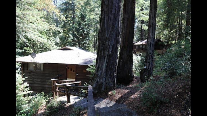 "Blue Heron" Suite |River Access| In Redwoods Wifi - Richardson Grove State Park, Garberville