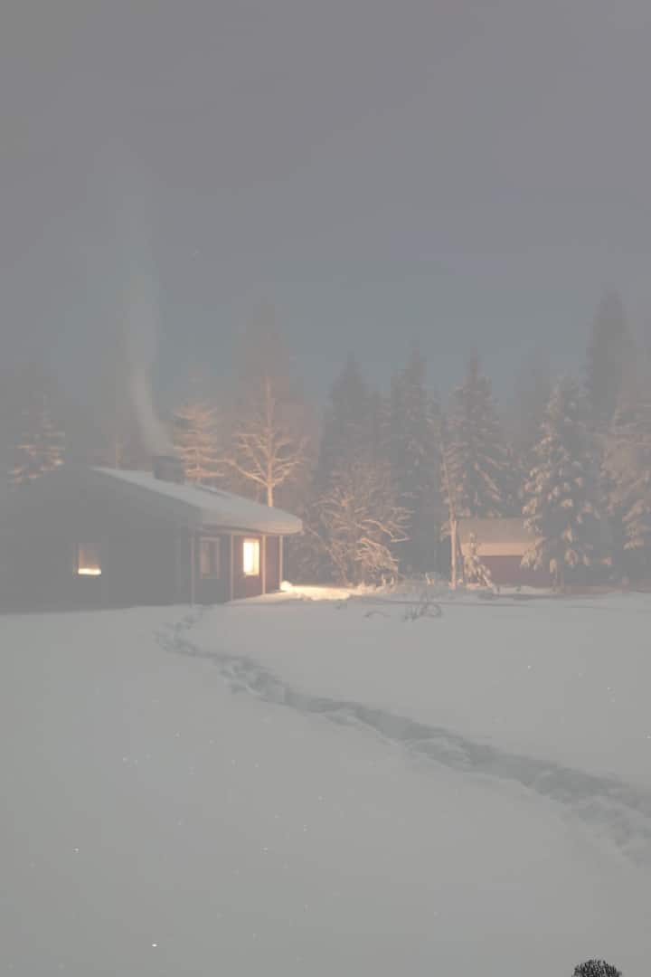 Peacfull Cottage In Middle Of Forest - Rovaniemi