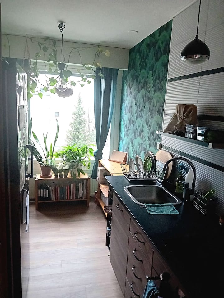 Viihtyisä Huone Pasilassa - Helsinki