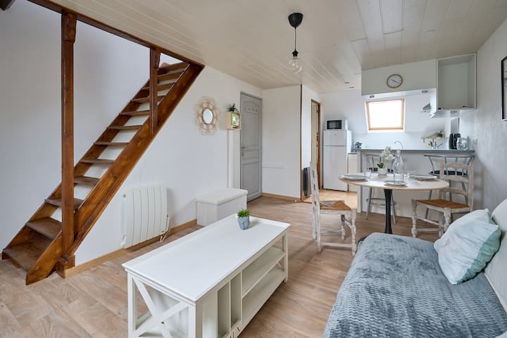 Charmant Duplex Cosy - Trappes