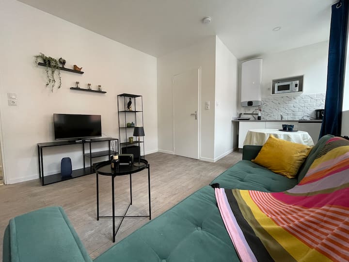 Studio Charmant Et Moderne à Croix - Croix