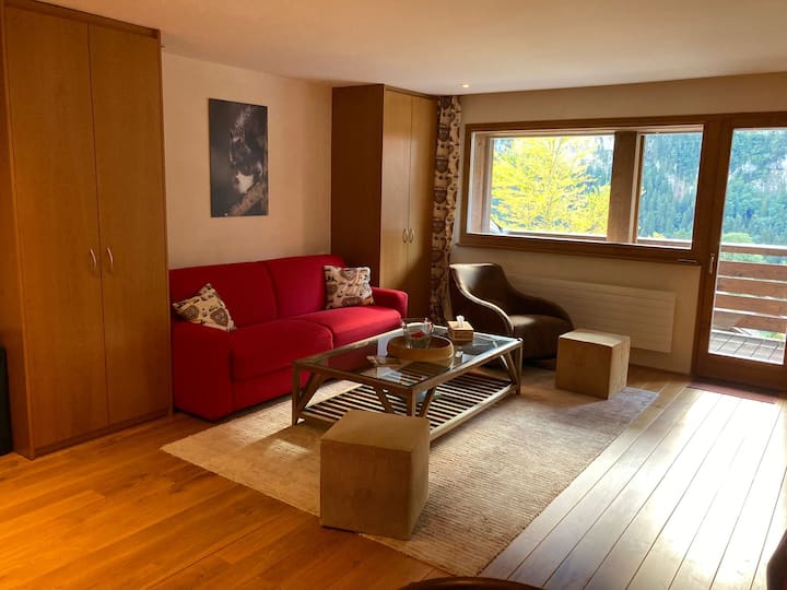 Grand Studio Moderne Avec Balcon - Val-d'Illiez