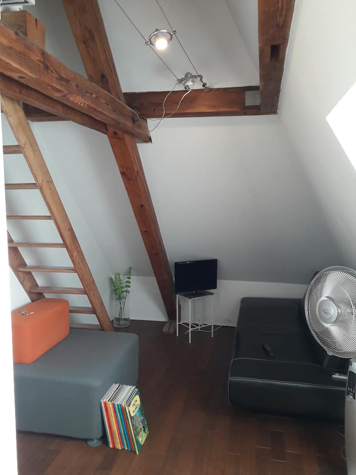 Chambre Chez Jean Luc Ouest - Molsheim