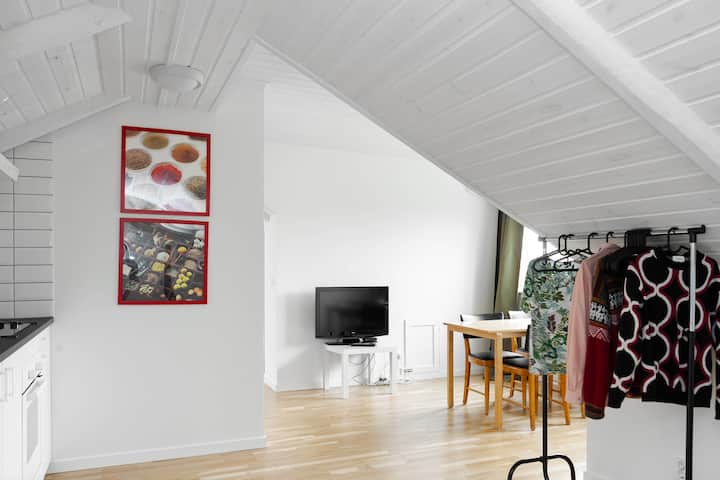 Loft Lägenhet I Centrala Lund, Fully Serviced - Lund