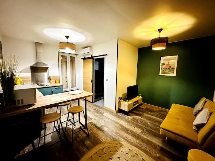 Petit Cocon En Centre Ville - ibis Perpignan Sud Saint Charles
