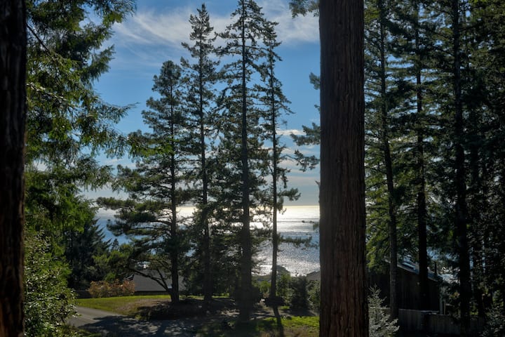 Redwood Perch - Sea Ranch, CA