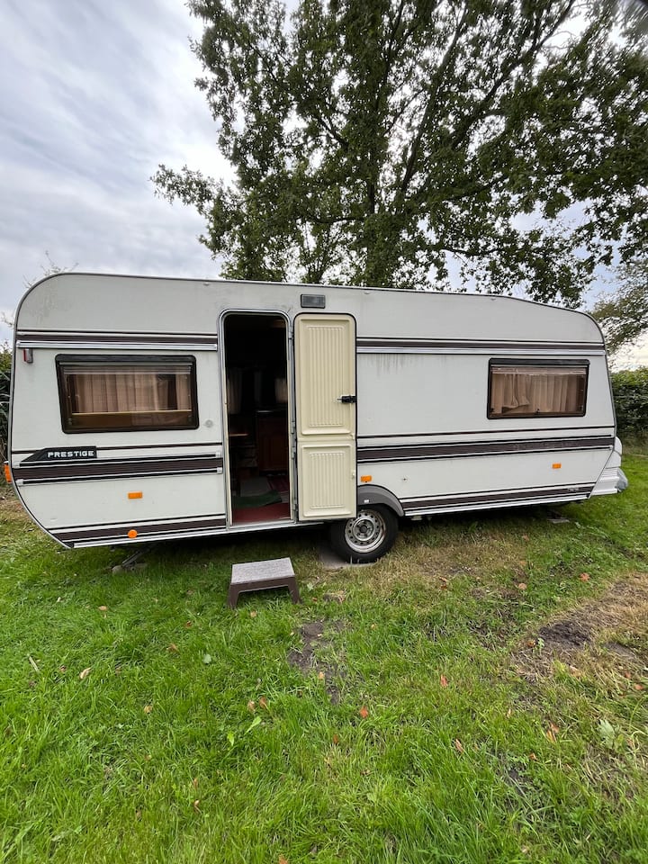 Sacred Escape Buiten - Hoogstraten