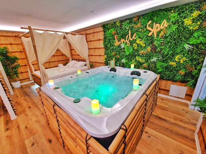 Jungle Spa+jacuzzi+4 Pers+parking+clim+jardin - Neuf-Brisach