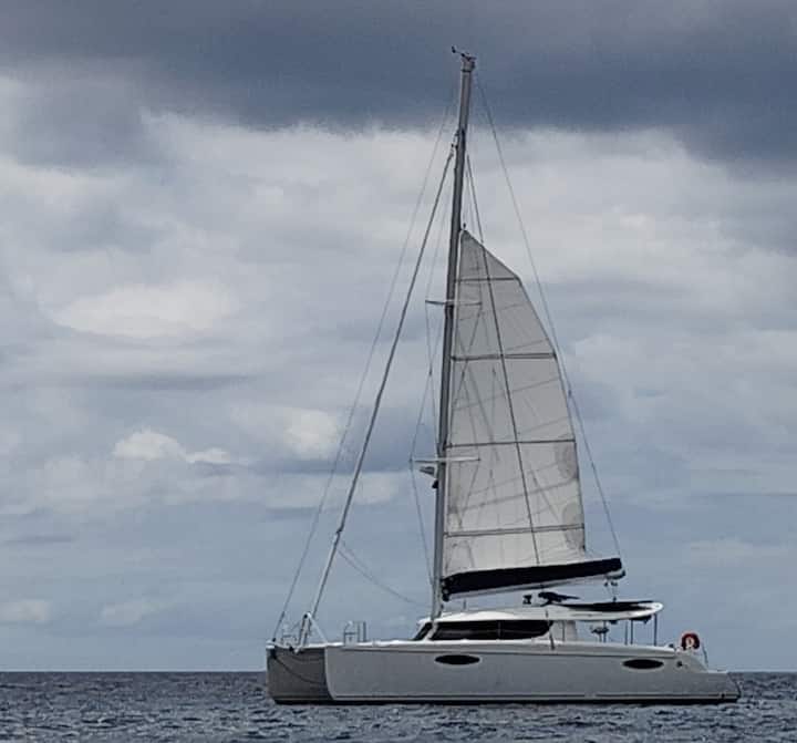 Catamaran Anse Mitan Baie Des Trois Ilets - 마르티니크