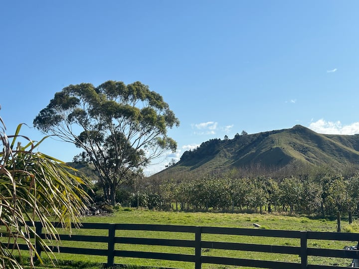 Palms On The Farm - Gisborne