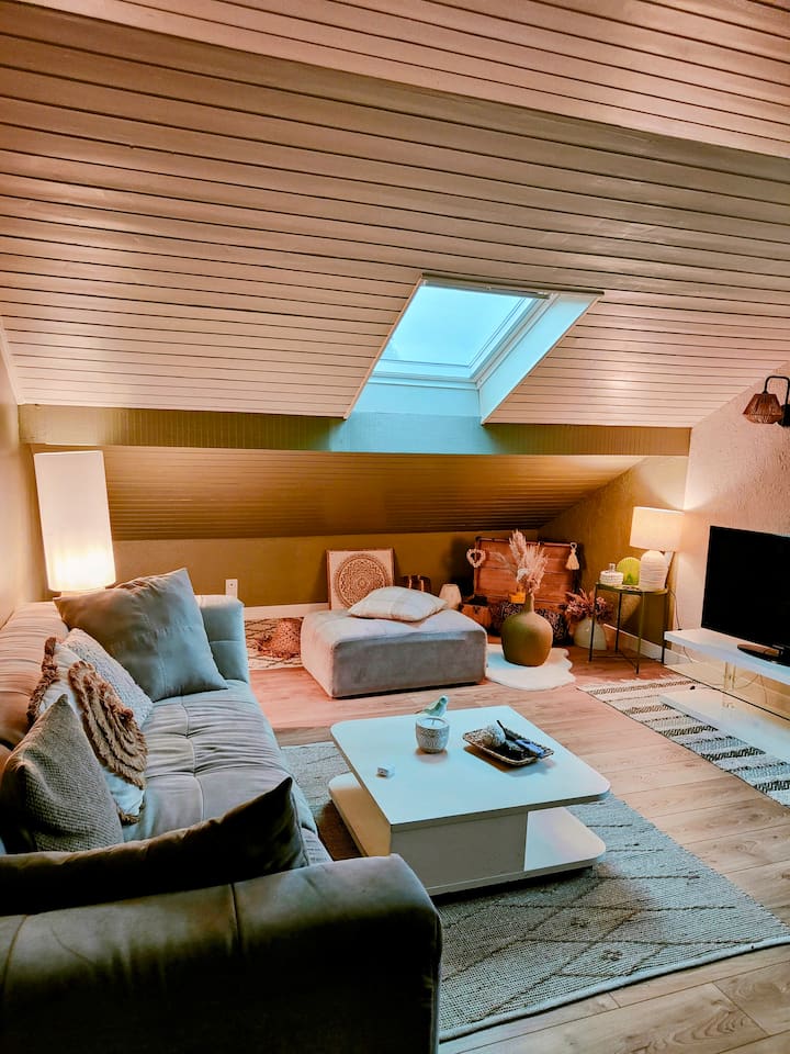 Appartement Dans Maison - Chambéry