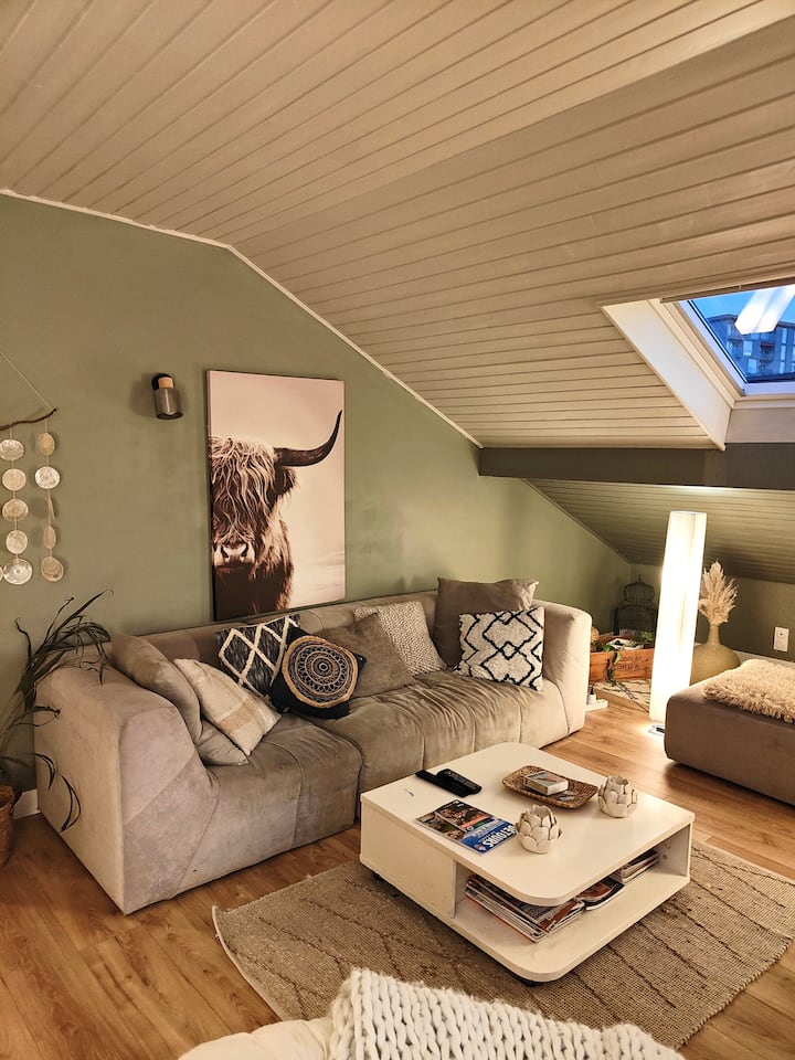 Appartement Dans Maison - Chambéry