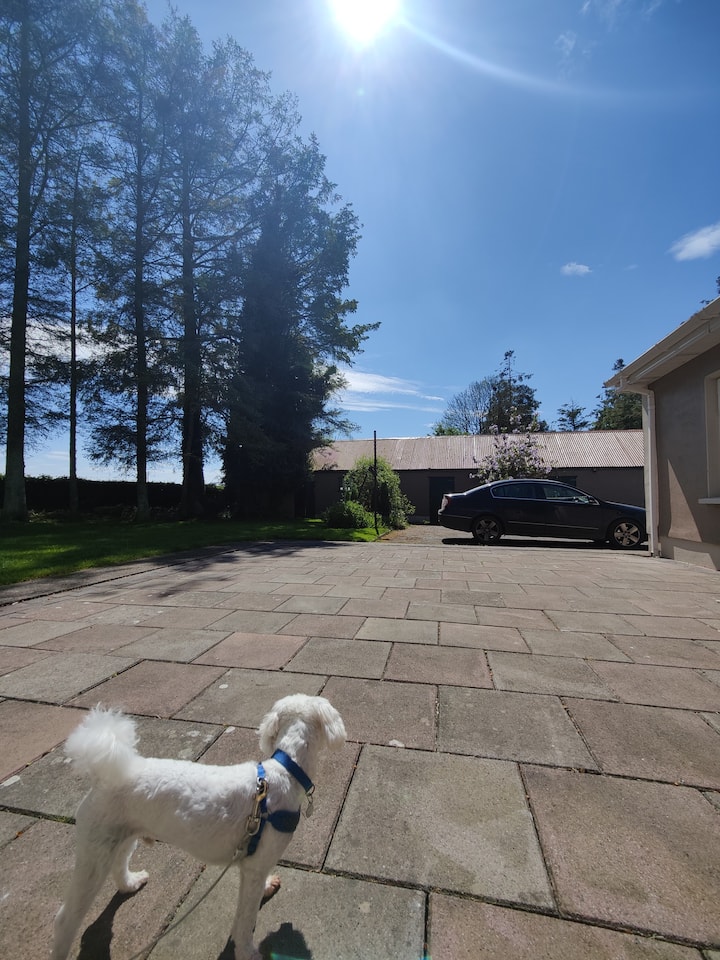Large Pet Friendly House With Gardens - Navan