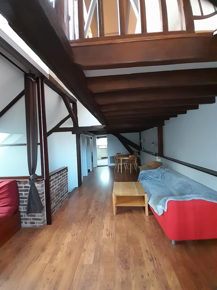 Appartement Ancien De 66m² - Fontainebleau