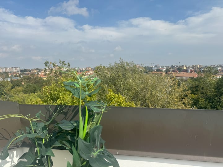 Un Sottotetto Nel Verde - Modena