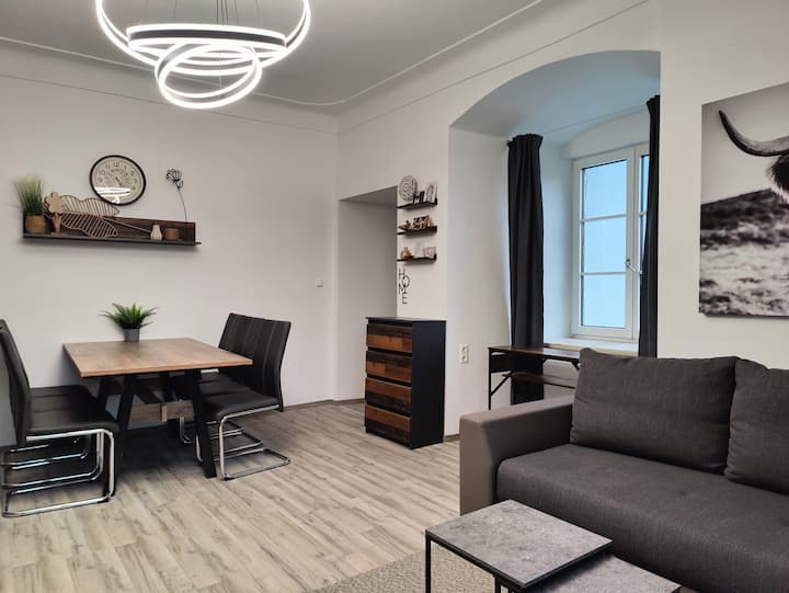 Historisch Neu 3 Zimmer Wohnung An Der Stadtmauer - Krems an der Donau