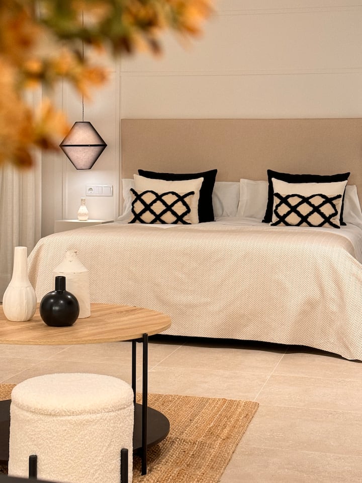 Casa Boutique Navarro 104 - Montemayor