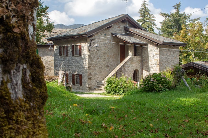 Agriturismo Immerso Nel Bosco - Cutigliano