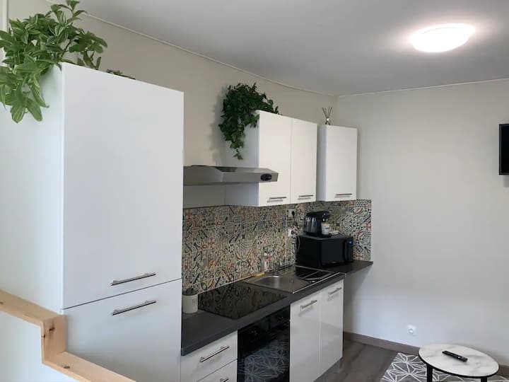 Le Cocon - T2 Duplex 24 M² - Niort