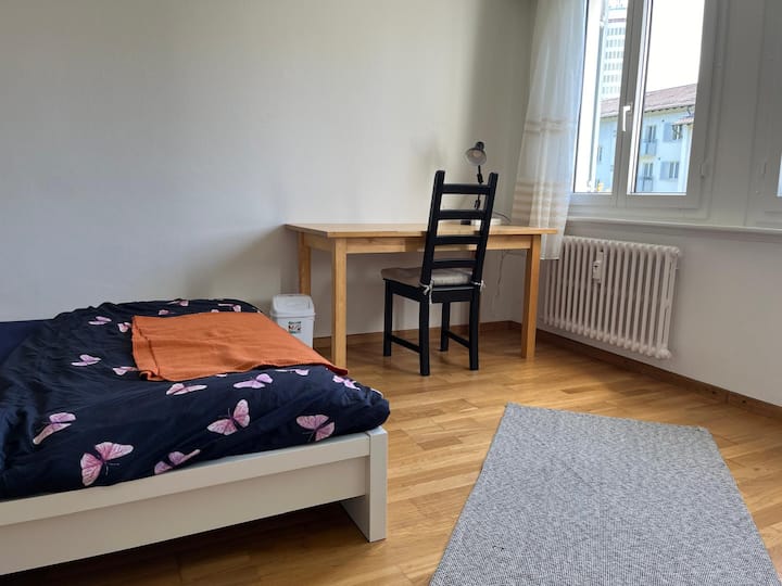 Comfortable Double Room-central - St. Gallen