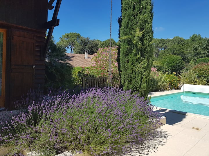 Maison De Vacances  'Lac Et Forêt' - Lacanau