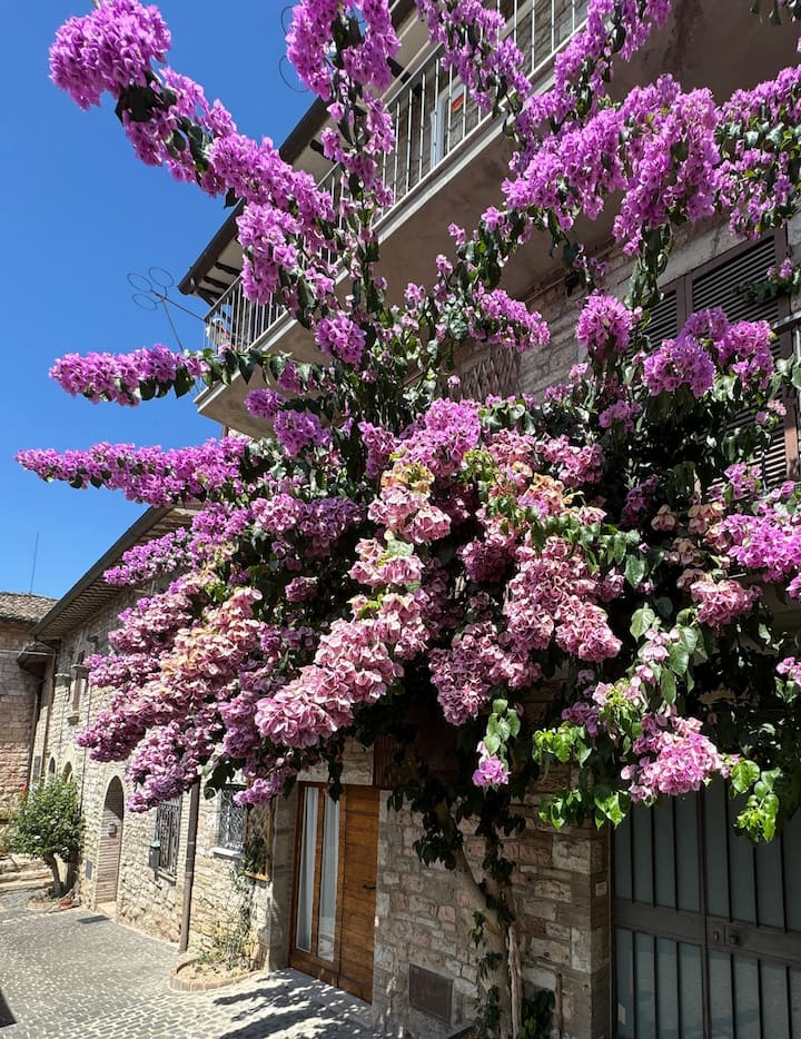 Appartamento Vacanze - Assisi
