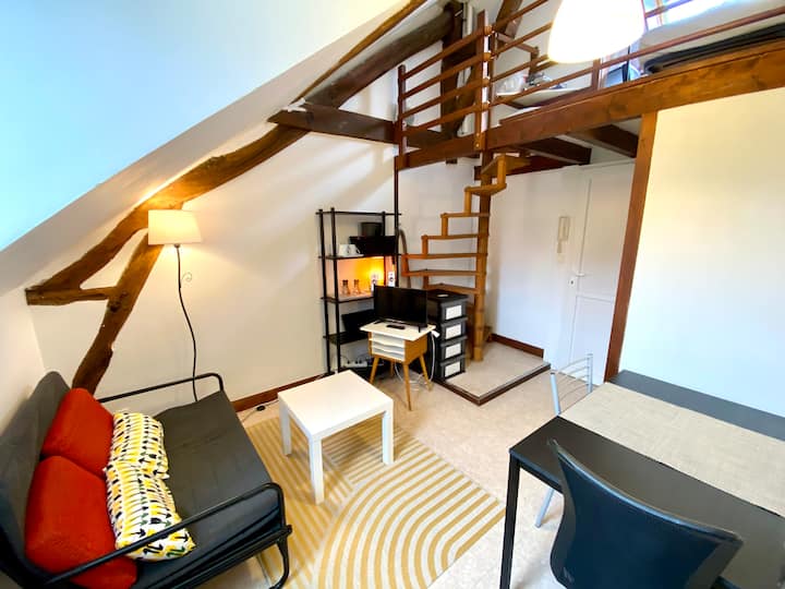 Duplex En Bord De Loire - Blois