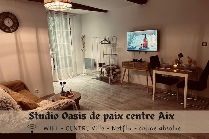Studio Oasis De Paix Centre Aix - Aix-en-Provence