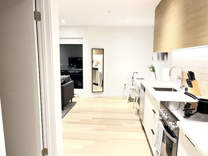 Luxurious 1br Rooftop| Free Parking| Near Downtown - Montreal