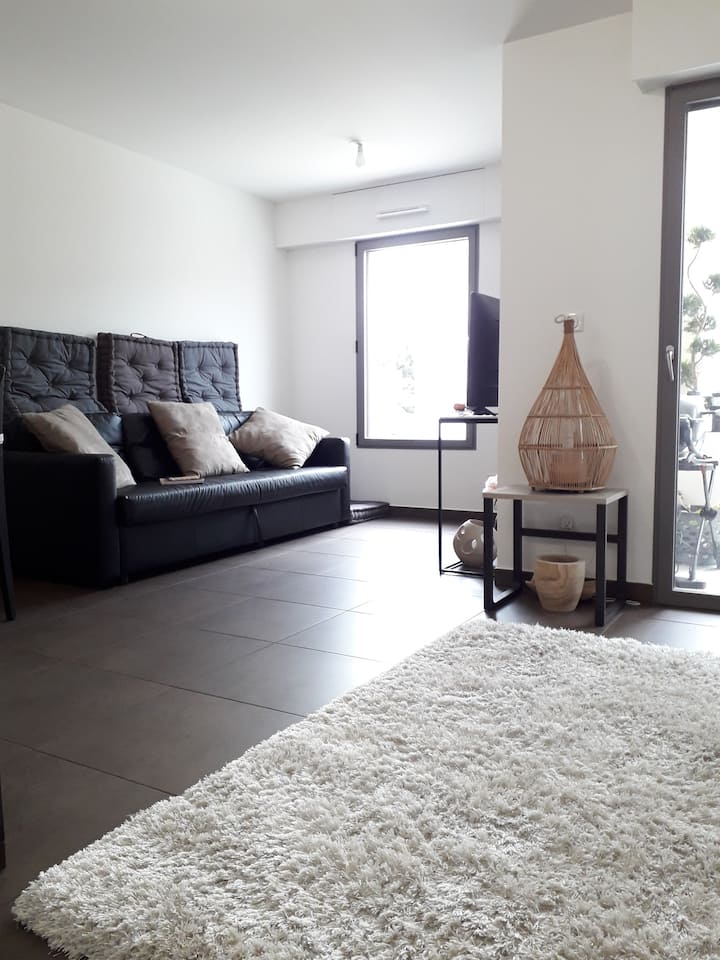 Beau T2 Quartier Trottel Ajaccio - Ajaccio