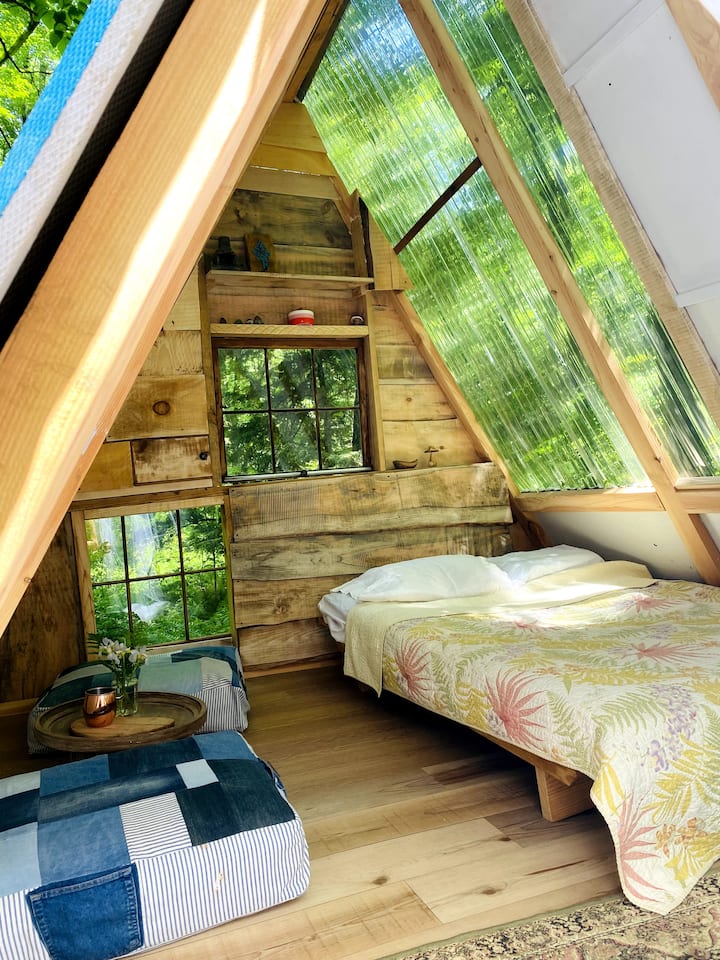 The Fern Gully Sanctuary - Quabbin Reservoir, Belchertown