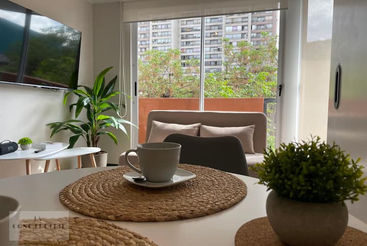 Confortable Departamento / Movistar Arena - Santiago