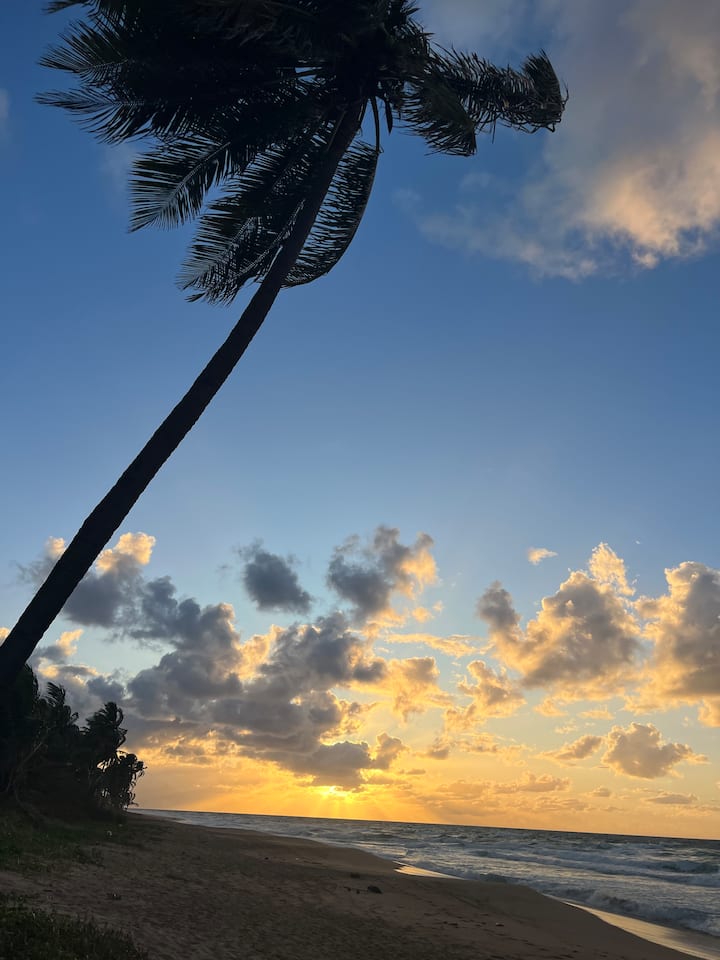 Férias Perfeitas, 100 M Praia. - Ilhéus
