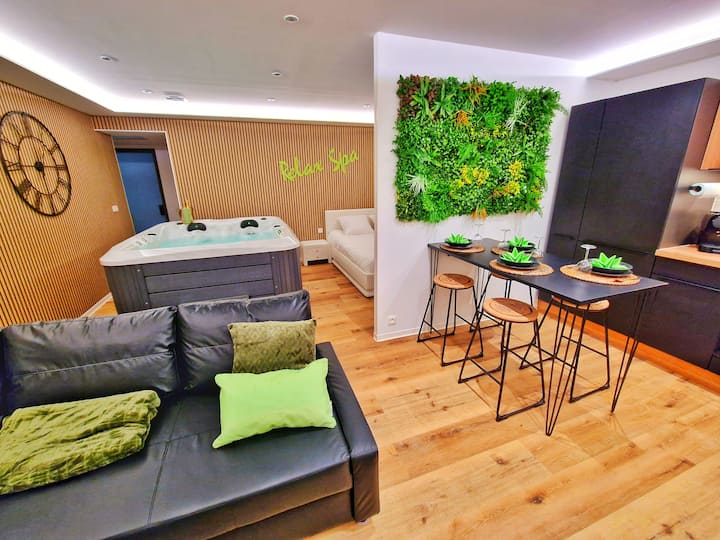 -Relax Spa+jacuzzi+parking+clim - Neuf-Brisach