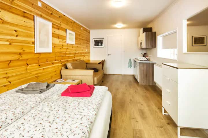 A Cosy Studio Close To Center - Reikiavik