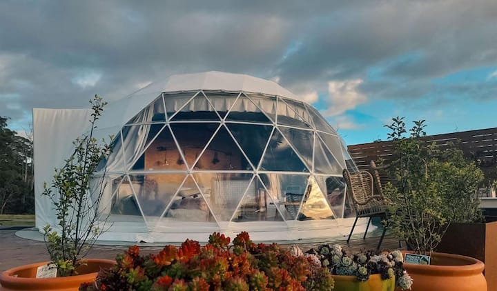 Wilder Tasmania – Snow Gum - Mole Creek